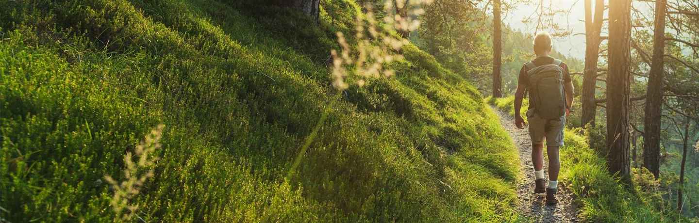 How Nature Improves Your Mental Health